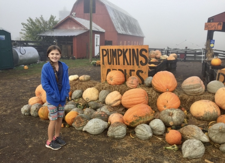 Round Hill Farm – Family Adventures VA